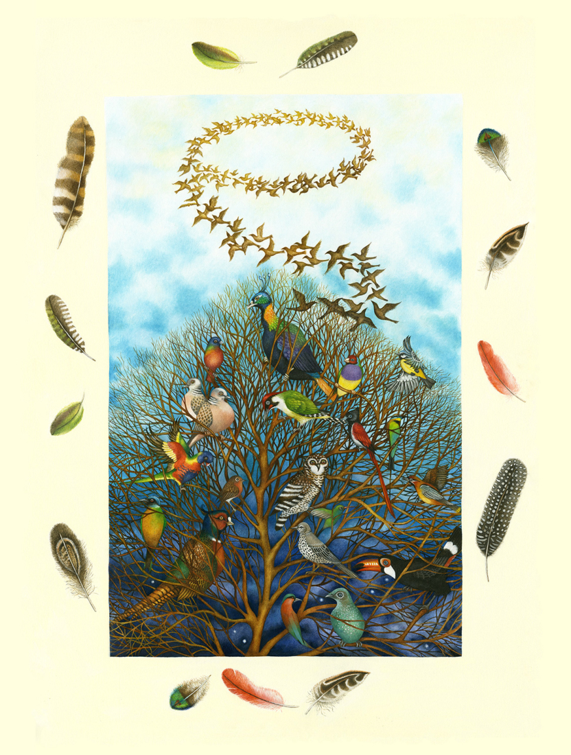 Portfolio – Debbie Bell